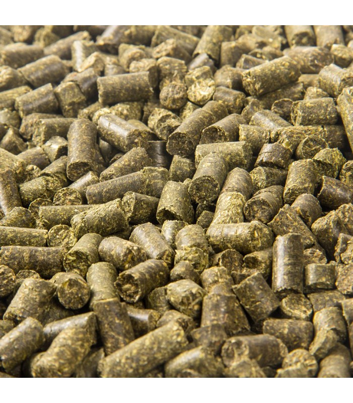 Lugarti Premium Tortoise Food